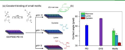 Figure 1 From Surface Engineering Of Graphene Through