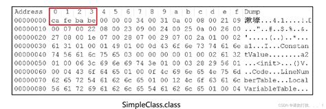 Java字节码文件java Version 65 Csdn博客