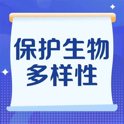 赞！这里有全国各地生物多样性保护绝美视频生态