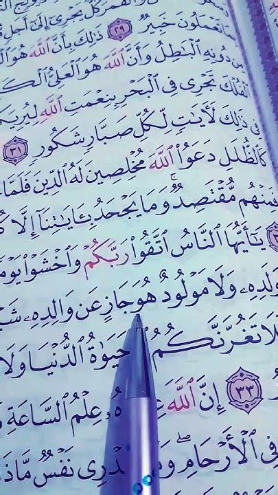 القاريء ماهر المعيقلي {يأيها ألناس اتقوا ربكم واخشوا يومآ لا يجزي والد