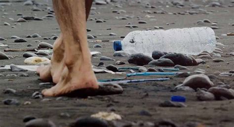 Más Del 80 De Los Residuos En Playas Bonaerenses Son Plásticos
