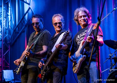 Lazy Fox Introducing The Lazy Fox Eggs Benny 🤤 Poached Eggs