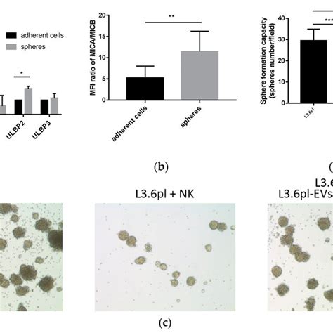 Pancreatic Cancer Derived Evs Suppress Nk Cell Cytotoxicity Against