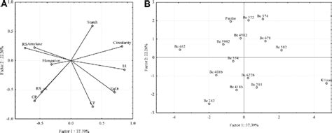A Factor Loading Plot For Principal Components Describing The