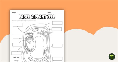 Label A Plant Cell Diagram Worksheet Teach Starter Worksheets Library