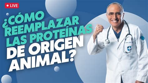 🌱 Proteínas Vegetales Vs Proteínas Animales Youtube