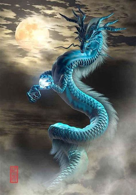 Ảnh Rồng Đẹp Mê Hồn Hãy Ngắm Ngay