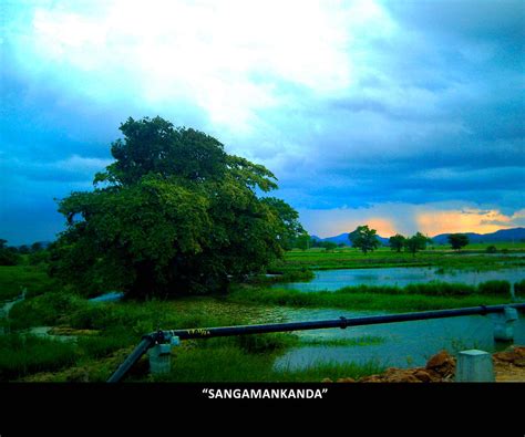 Nature Photograph By Lakmal Fernando Fine Art America