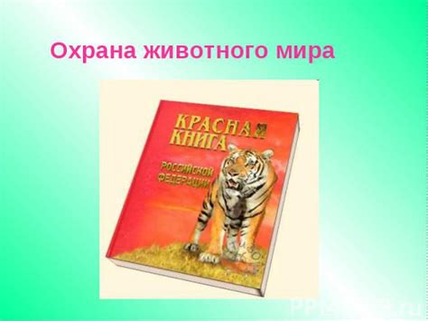 Презентация на тему Царства скачать бесплатно презентации по Биологии