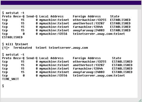 Determining Network Connections Unix Exercise