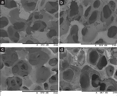 On The Synthesis And Characterization Of β Tricalcium Phosphate Scaffolds Coated With Collagen