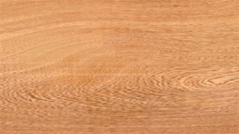 Madera Rosa Morada Madereras En Guadalajara