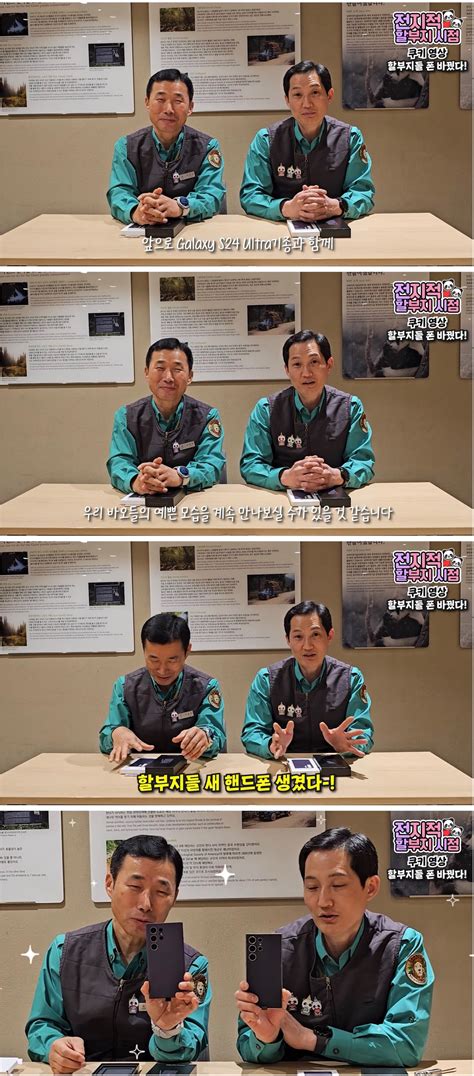더쿠 바오가족 전할시 강송바오 갤럭시 S24 울트라 협찬