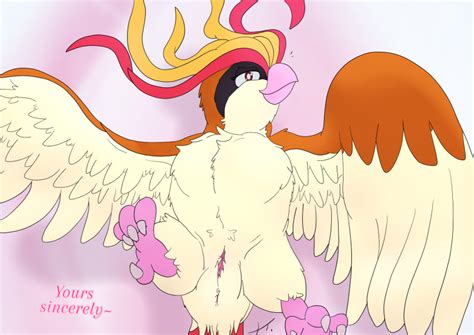 Rule 34 Anus Avian Barely Visible Anus Barely Visible Genitalia