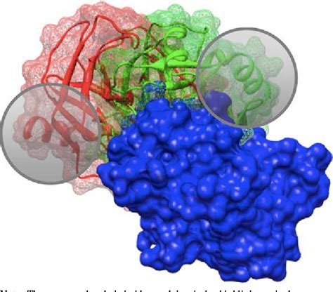Figure From Use Of Self Organizing Suppression And Q Gaussian Mutation In Artificial Immune