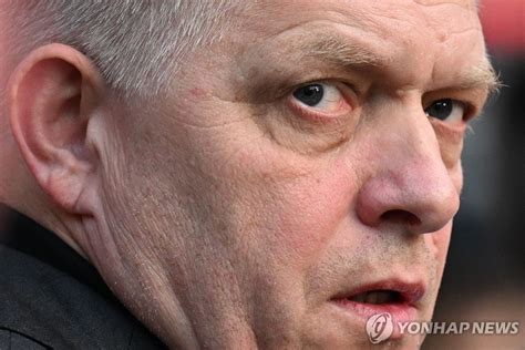 친러 슬로바키아 총리 내가 있는 한 우크라 나토 가입 불가 나무뉴스