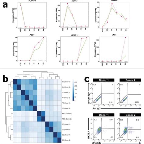 Characterizing The Transcriptome Of An Ipsc Derived Endocrine