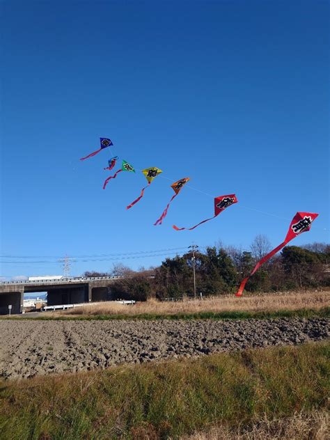 凧揚げで正月の空を彩る kuro makkyのブログ