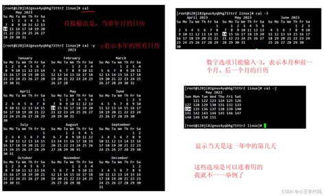 linux的常见指令（下） 阿里云开发者社区