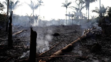 El Amazonas En Llamas Las Fotos Más Impactantes Del Incendio Que
