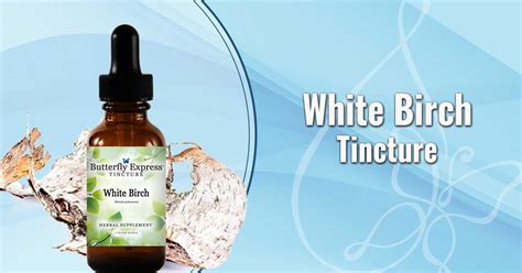 White Birch Tincture