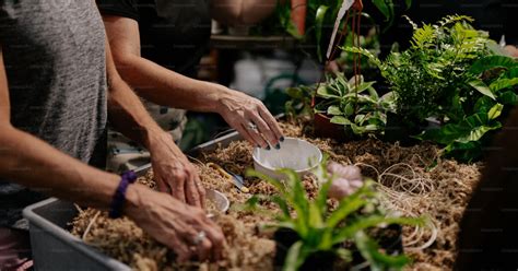 식물로 가득 찬 테이블 주위에 서있는 한 무리의 사람들 사진 Unsplash의 분갈이 이미지