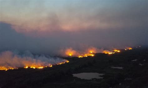 Pantanal Em Chamas Saiba Mais E Entenda As Razões E Riscos