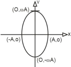 When A Particle Executes Simple Hormonic Motion The Nature Of Graph Of Velocity As A Function