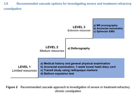 English World Gastroenterology Organisation