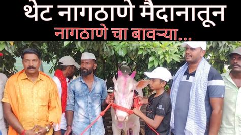 चौंडेश्वरी प्रसन्न ग्रुप नागठाणे चा बावऱ्या याची घेतलेली मुलाखतनागठाणे