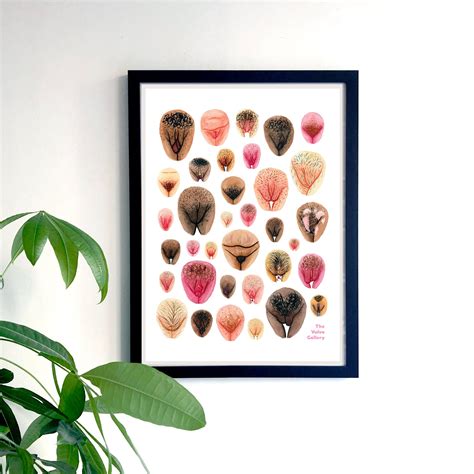 Art Print • Vulva Variations Ii — The Vulva Gallery