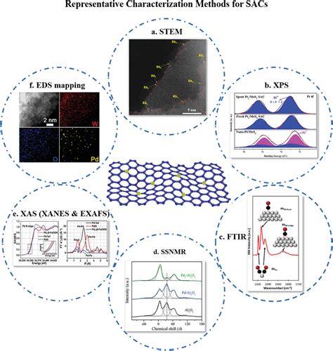 Homogeneity Of Supported Single‐atom Active Sites Boosting The Selective Catalytic