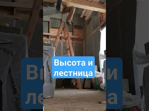 Что Такое Дуга Безопасности У Стремянки