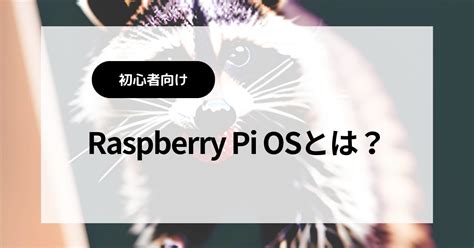 初心者向け Raspberry Pi Osとは やすひらブログ