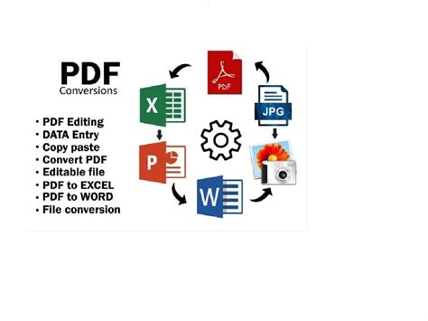 PDF Image Screenshot Non Editable File Converted In Word And Excel Upwork
