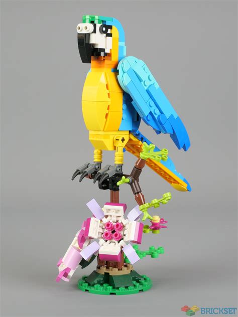 Quick Look Exotic Parrot Brickset
