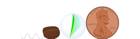 How Big Is Us Penny Scale Of The Universe