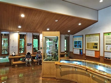 石ヶ戸休憩所 青森県十和田市奥瀬 ビジター センター 渓流のそばで味わう、特製そば！ グルコミ