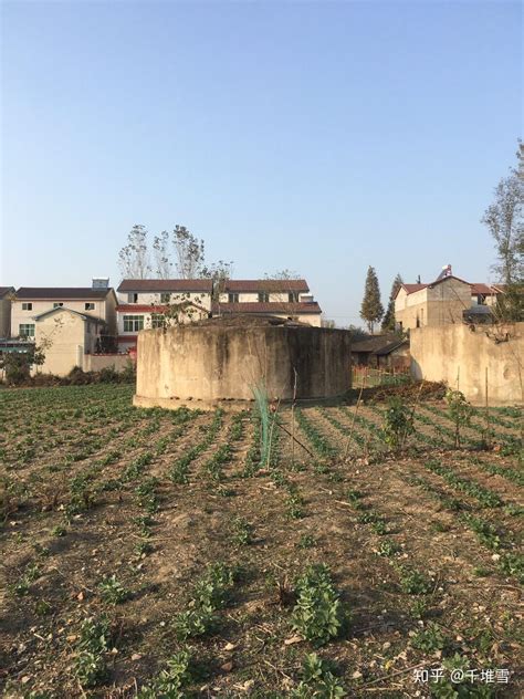 奇怪的建筑 知乎