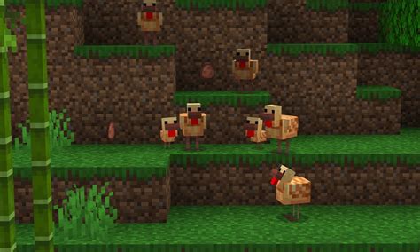 All Minecraft Chicken Variants And Where To Find Them Beebom