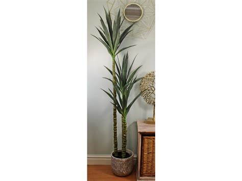 Artificial Triple Trunk Yucca Tree 160cm Tall East Cowes Wightbay