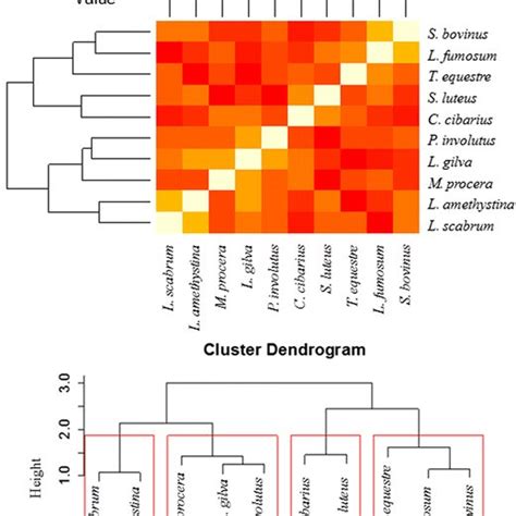 Correlation Between Tested Aboveground Mushroom Species With Regard To Download Scientific