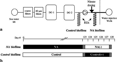 A Positions Of Rd In The Seawater Deoxygenation Do System O 2 Was Download Scientific