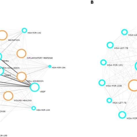 Clustergram And Heatmap Images Representing Miscript Mirna Pcr Array