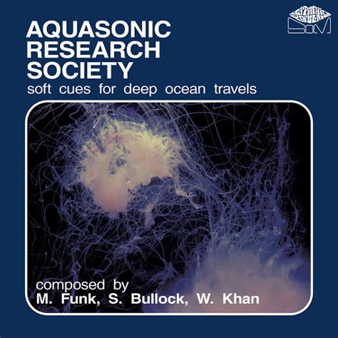 Hermit Crab Youtube Music