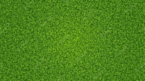 Premium Vector Green Grass Vector Texture Fresh Lawn Summer Grass