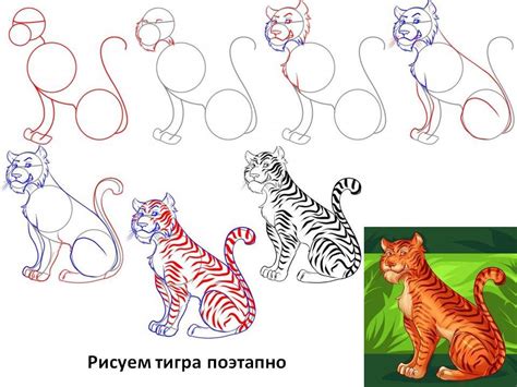 Как нарисовать Тигра поэтапно карандашом красками фломастерами