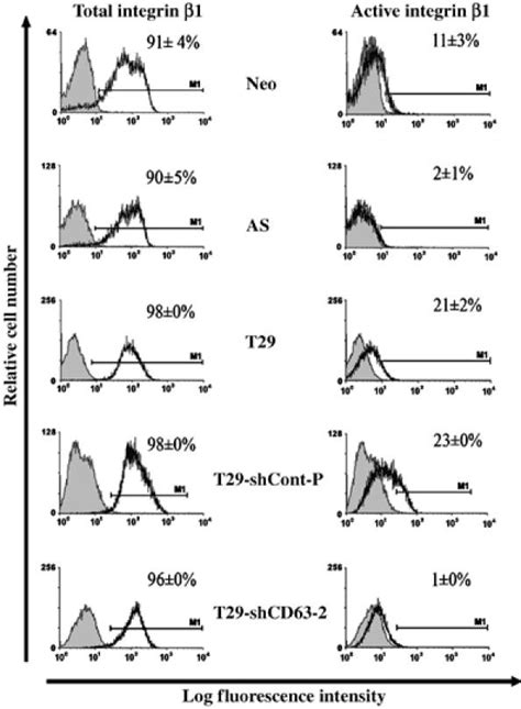Identification Of Cd63 As A Tissue Inhibitor Of Metalloproteinase 1 Interacting Cell Surface