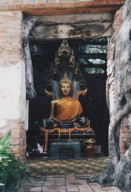 วัดสังกระต่าย วัดโบราณ ของจังหวัดอ่างทอง มหัศจรรย์ต้นโพธิ์ล้อมโบสถ์
