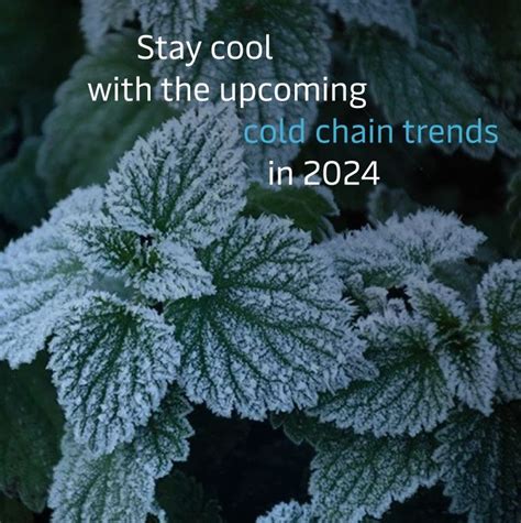 Gowrishankar Paramasivam On Linkedin Maersk Alltheway Supplychainmanagement Logistics